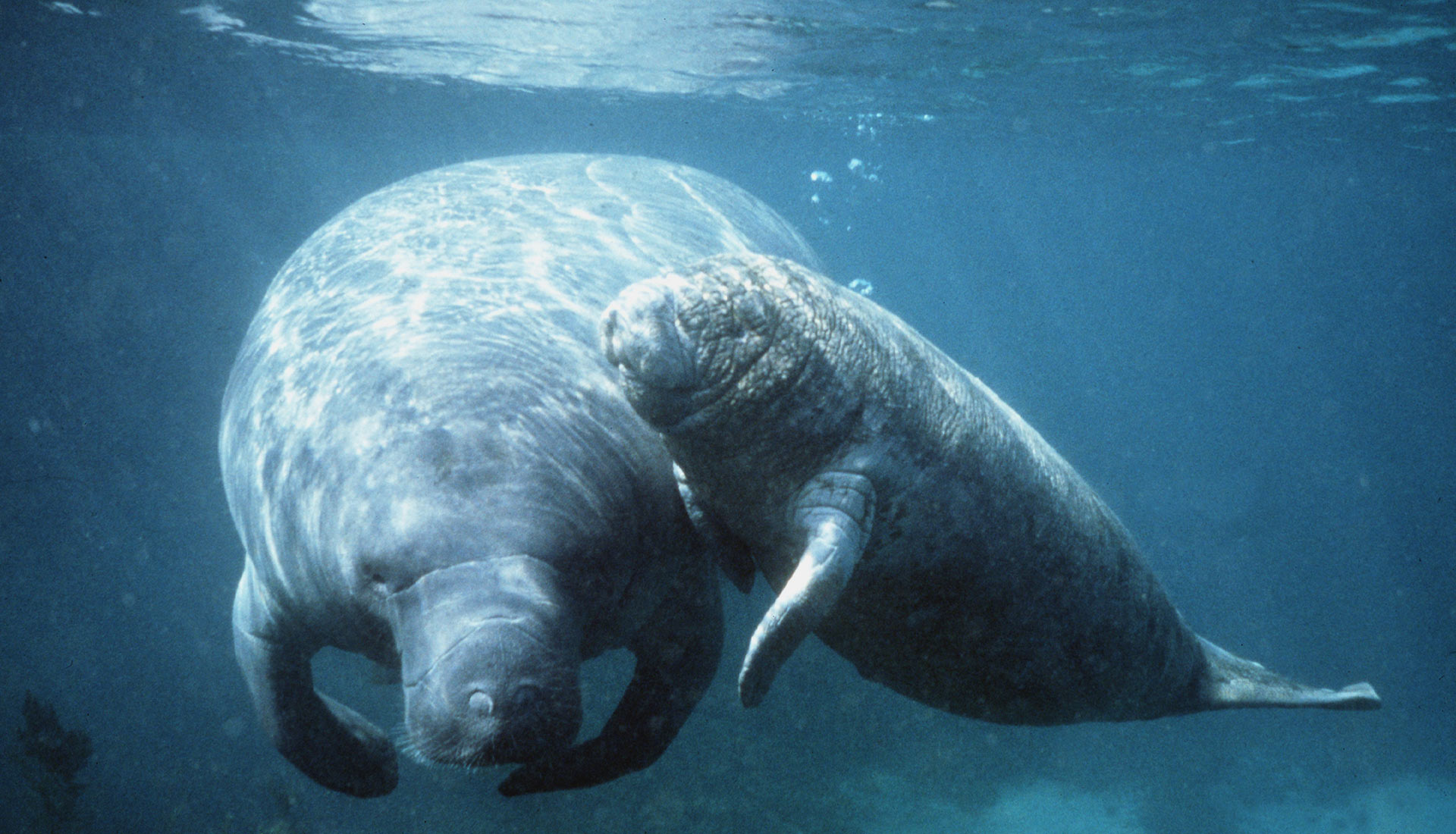 Citizen Science - Eco Trail